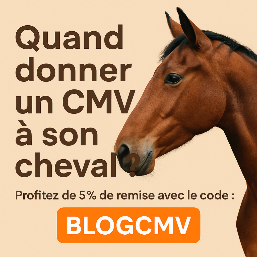 Quand donner un CMV au cheval ? Guide et conseils naturels