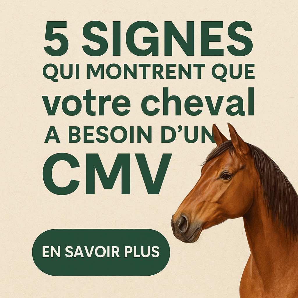 5 signes que votre cheval a besoin d’un CMV | Conseils santé équine